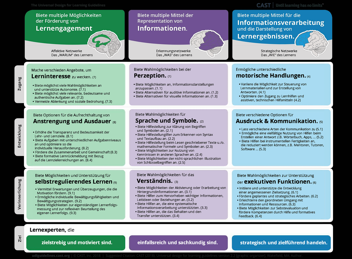Neurodiversität – jedes gehirn ist anders - Education Minds